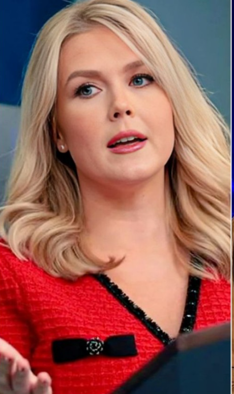 “HE’S JUST A SINGER.”That was the phrase Karoline Leavitt used ...